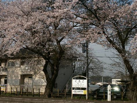 ああ黒子駅