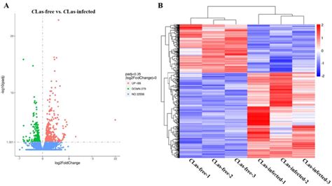 The Identification And Hierarchical Cluster Analysis Of Differentially