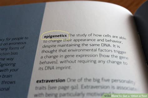 How To Get A 100 On A Test 7 Steps With Pictures WikiHow