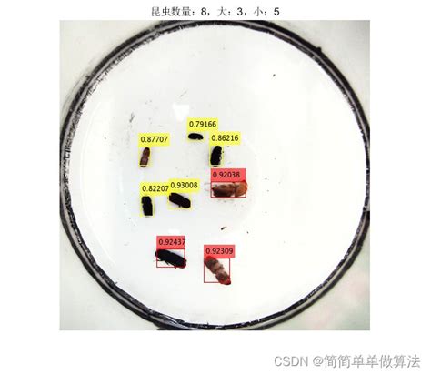 基于yolov 深度学习网络的昆虫检测算法matlab仿真 并输出昆虫数量和大小判决