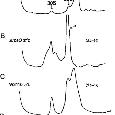 Sucrose Gradient Sedimentation Analysis Of Polysomes Profiles Sucrose