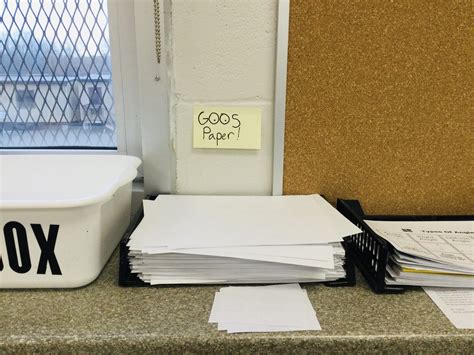 Creative Drawing Pathways To Stewardship And Kinship