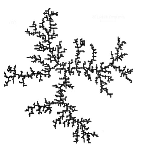 9 Computer Simulation Of Particle Cluster Diffusion Limited