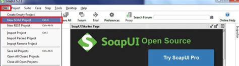 Test Web Service Wsdl File Using Soapui Sapcodes