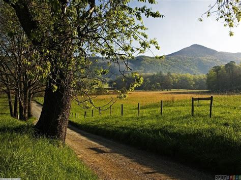 Spring Farm Scenes Wallpapers 4k Hd Backgrounds On Wallpaperbat