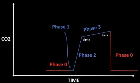 Riding The Waves End Tidal Co2 Monitoring — Taming The Sru