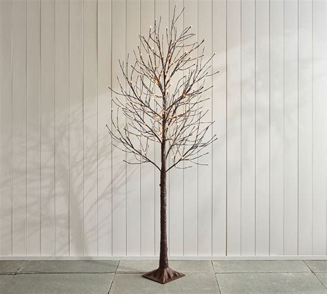 Lit Outdoor Willow Twinkling Twig Tree Pottery Barn