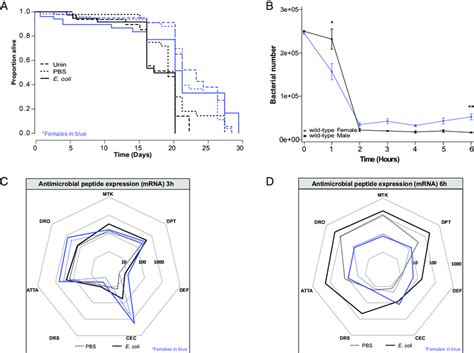 Sex Specific Outcomes Of E Coli Infection Representation In All