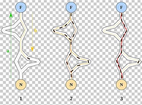 Ant Colony Optimization Algorithms Png