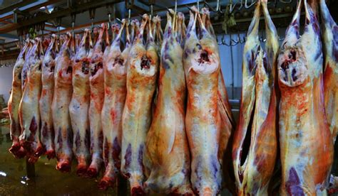 Өвлийн идэш худалдаанд махнаас гадна дайвар бүтээгдэхүүн сүү цагаан идээ худалдаалж байна