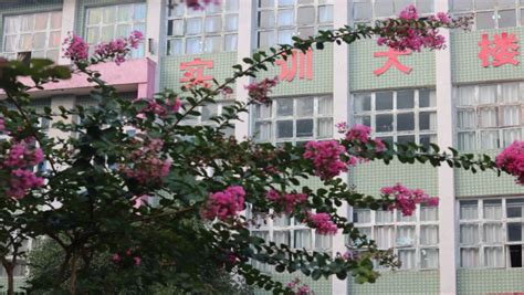 重庆市万州电子信息工程学校怎么样？好不好？ 职教网