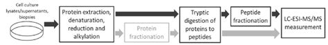 Schema Of A Typical Bottom Up Proteomics Workflow Including The Two