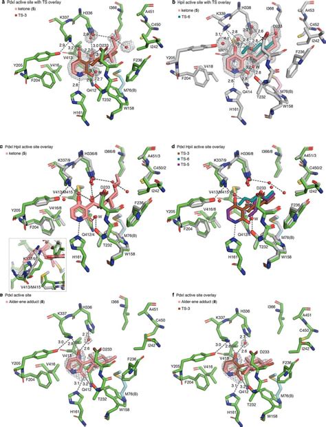 Overlays Of Crystal Structures With Transition State Structures For