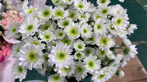 포드 소국 생화 꽃집 꽃집창업 꽃값 온라인꽃시장 온라인꽃도매 인터넷꽃시장 인터넷꽃도매 서울꽃시장 꽃농장 꽃배송 생화배송 생화도매 생화택배 꽃배달 생화배달 생화주문 생화부케