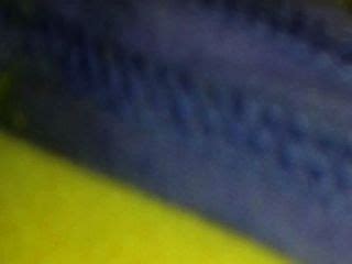 Me La Cojo Dormida Xchica Com