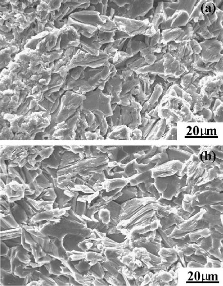 A Sem Micrograph Of Shear Induced Crack In Double Notched Sample