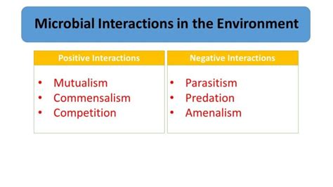Microbial Interactions In The Environment Microbiology Notes