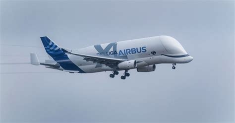 The Airbus Beluga Xl A Remarkable Aircraft Revolutionizing Cargo