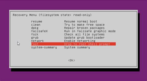 Reset Forgotten User Password On Ubuntu Allaboutlinuxeu