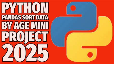 Python Pandas Sorting MADE EASY Sort Data By Age Beginners Project