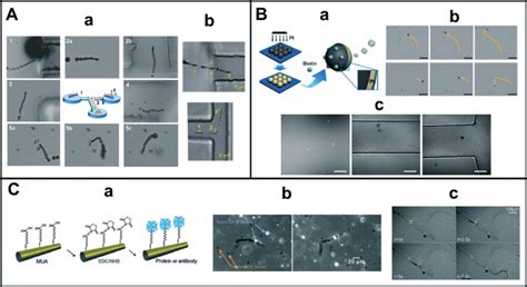 Micromotor Based Lab On A Chip LOC Assays A Micromotor Based LOC