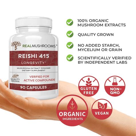 Best Reishi Mushroom Supplement The Longevity Mushroom