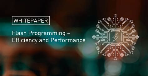 Flash Programming Whitepaper Promik News