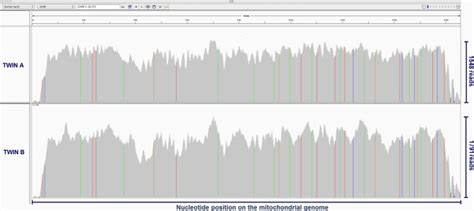 Mitochondrial Dna Sequencing Coverage And Variant Map For Twin A Upper