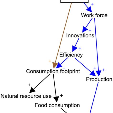 Influence Diagram Illustrating Alternative Causal Relationships Between