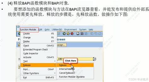 Sap Abap开发学习——bapiabap Abso Bapi Csdn博客