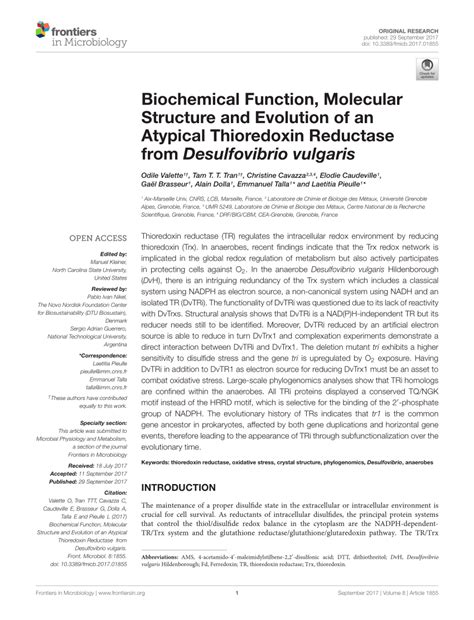 Pdf Biochemical Function Molecular Structure And Evolution Of An