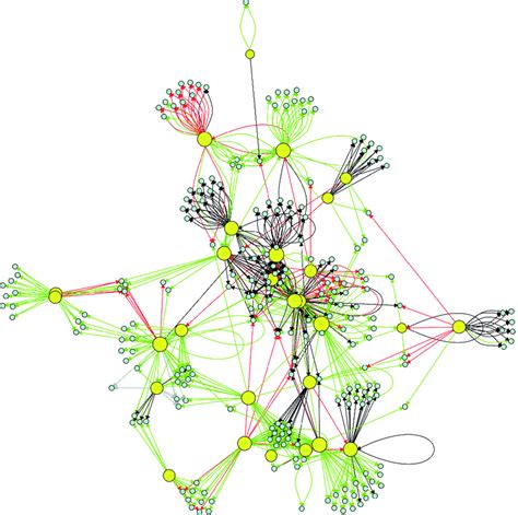 Connectivity Relationships Among The 30 Most Influential Hubs Of The