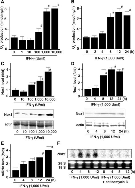 Effects Of Interferon Ifn On O 2 Download Scientific Diagram