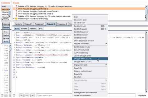 what is burp extension indusface learning