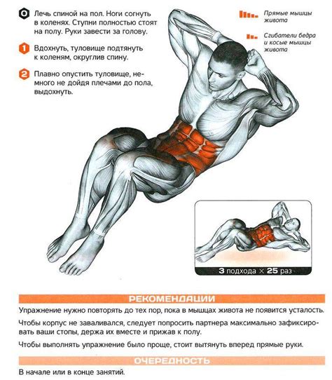Все упражнения на мышцы пресса Как накачать пресс дома 13 эффективных