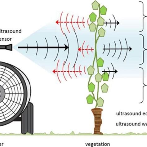 Schematic Diagram Of Canopy Density Measurement With The Ultrasonic Download Scientific Diagram