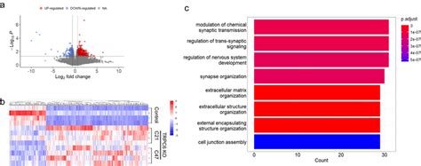 Transcriptome Profiling Of Trpc6 Ko Hpsc Derived Cortical Neurons A Download Scientific