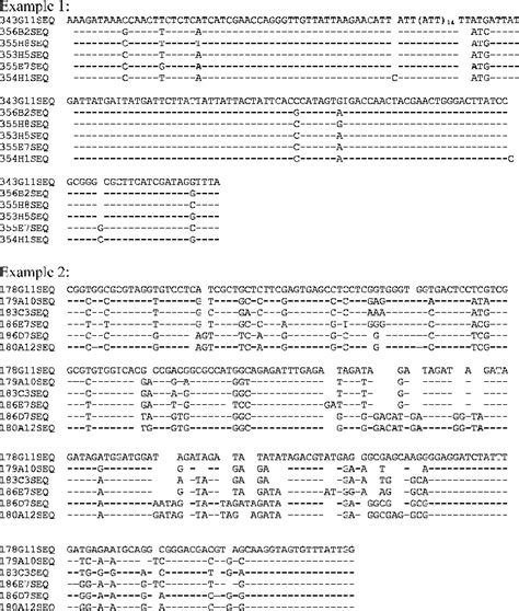 Two Examples Of Assembled Sequence Contigs Using Autoassembler Software
