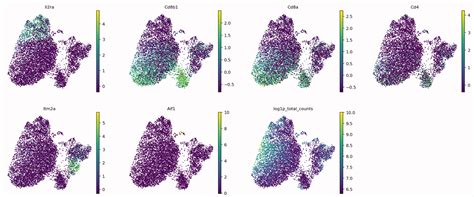 Slides Automated Cell Annotation Automated Cell Annotation Single Cell