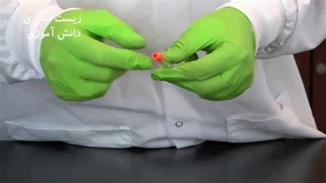 کاربا پیپت و پوار نماشا