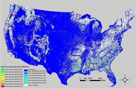 A New Tool For Deforestation Detection Nation Online