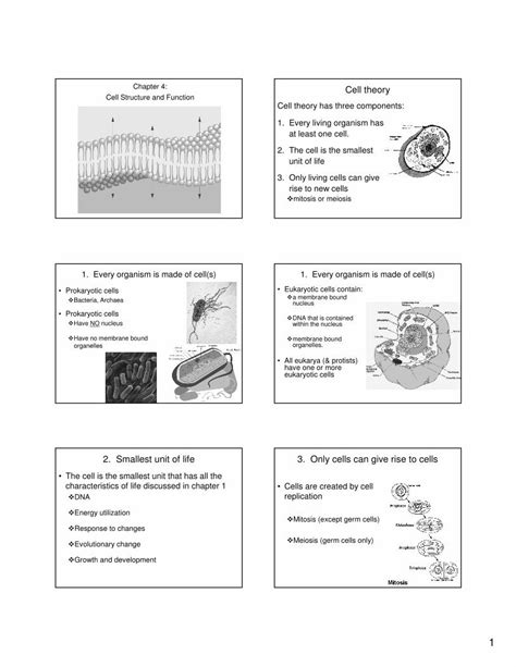 PDF Chapter 4 Cell Theory Cell Structure And Function Cell Theory Has Wou Edu Kissanek