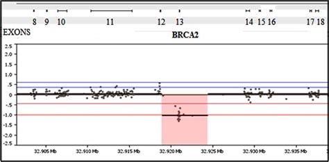 Microarray Has Exon Level Resolution For Deletion And Duplication Download Scientific Diagram