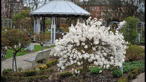 Весенние цветники в Плантен ун Бломен Youtube