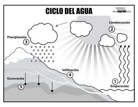 Ciclo Del Agua Para Imprimir En Pdf 2026