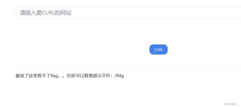 Nssctf做题 第五空间 2021 Webftp Csdn博客 Nssctf做题 第五空间 2021 Webftp Csdn博客