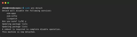How To Enable Ubuntu Pro And Activate ESM In Ubuntu LTS TREND OCEANS