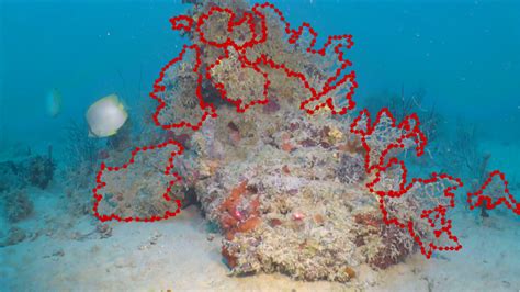 Mapping Seafloor Habitats With Ai Jaxon