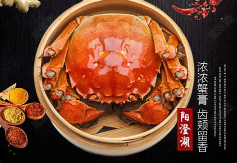 黑色高端生鲜大闸蟹美食促销海报图片下载 觅知网