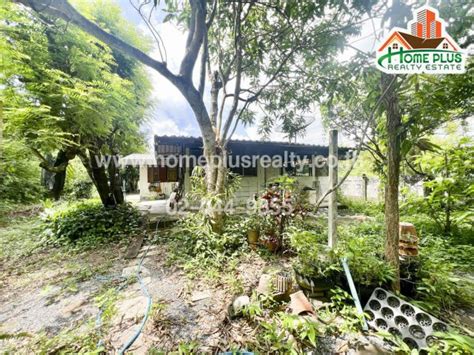 ที่ดินพร้อมบ้านเดี่ยวชั้นเดียวตำบลหนองสรวง อำเภอวิหารแดง สระบุรี ใกล้วัดวิหารแดง ที่ดินร้อย